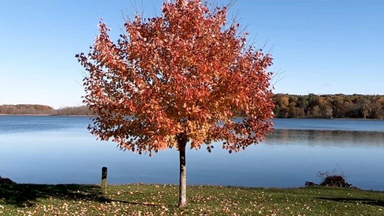 A Travel Guide to Hell, Michigan – Yes, It’s a Real Place! - Kerry Town